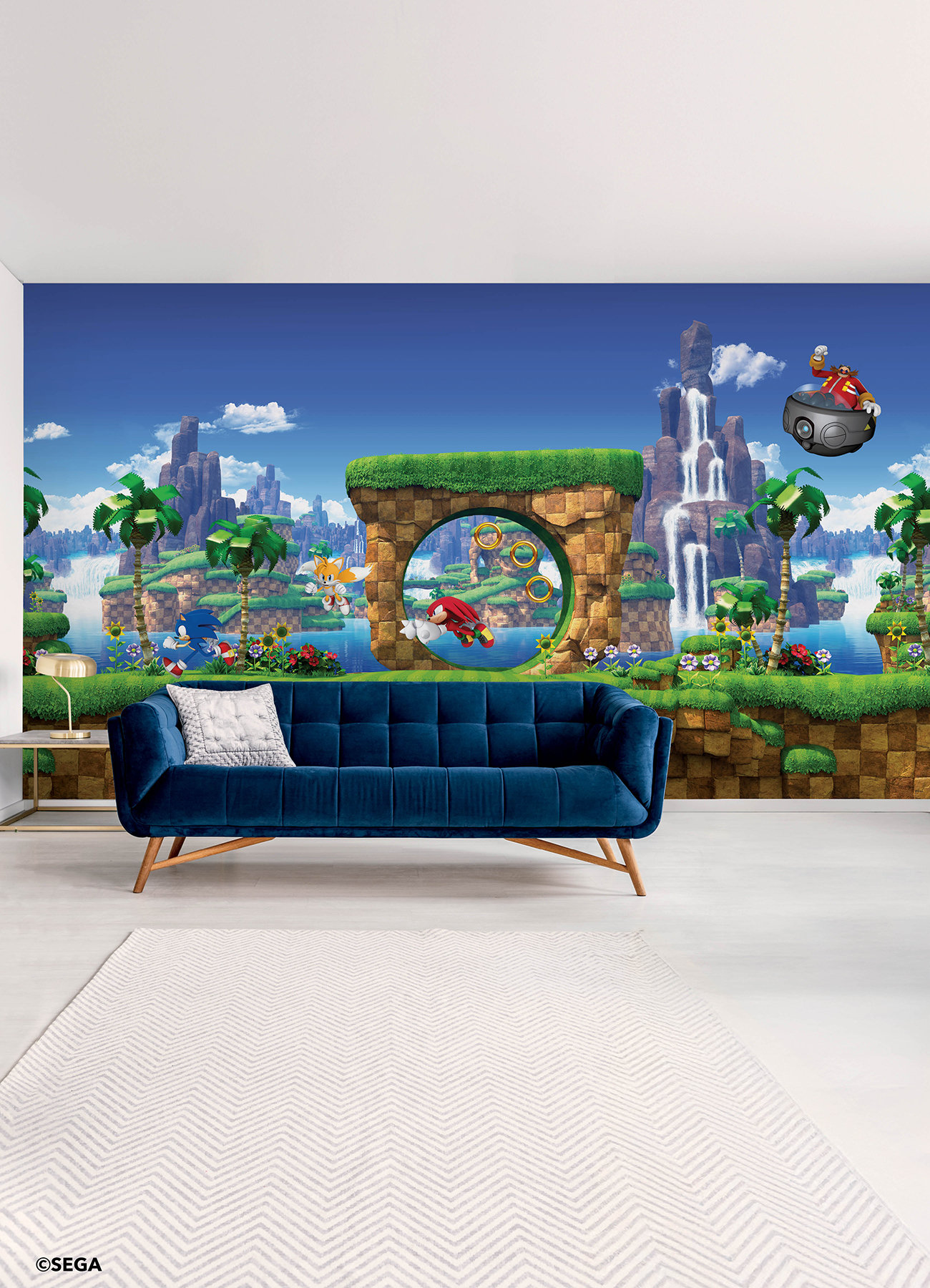 Room Mates Sonic the Hedgehog Green Hill Peel and Stick Mural - Wayfair ...