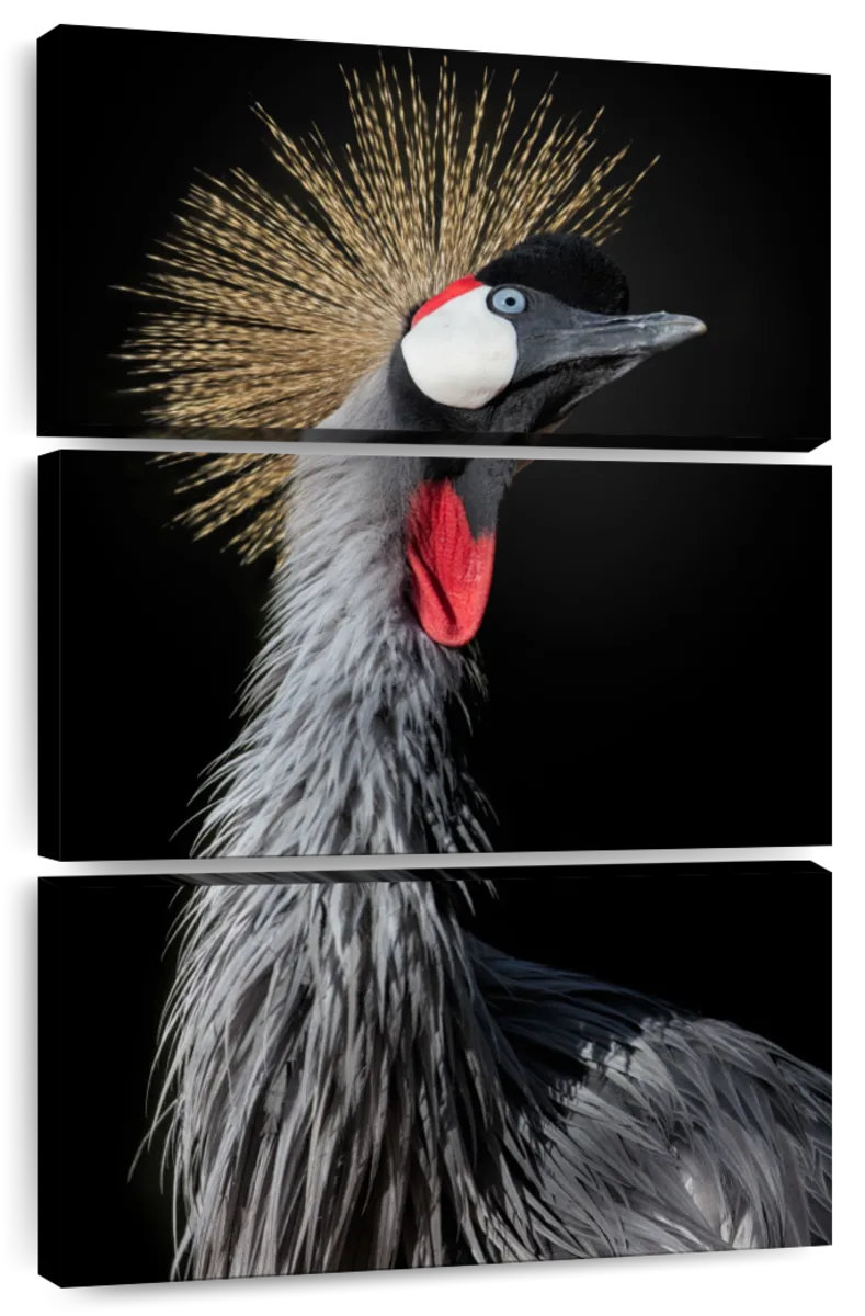 Ebern Designs Brampt The Queen Crane | Wayfair