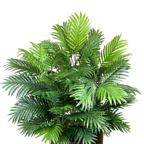 Creative Displays, Inc. 4' Areca Palm Bush In Fiberstone Planter | Perigold