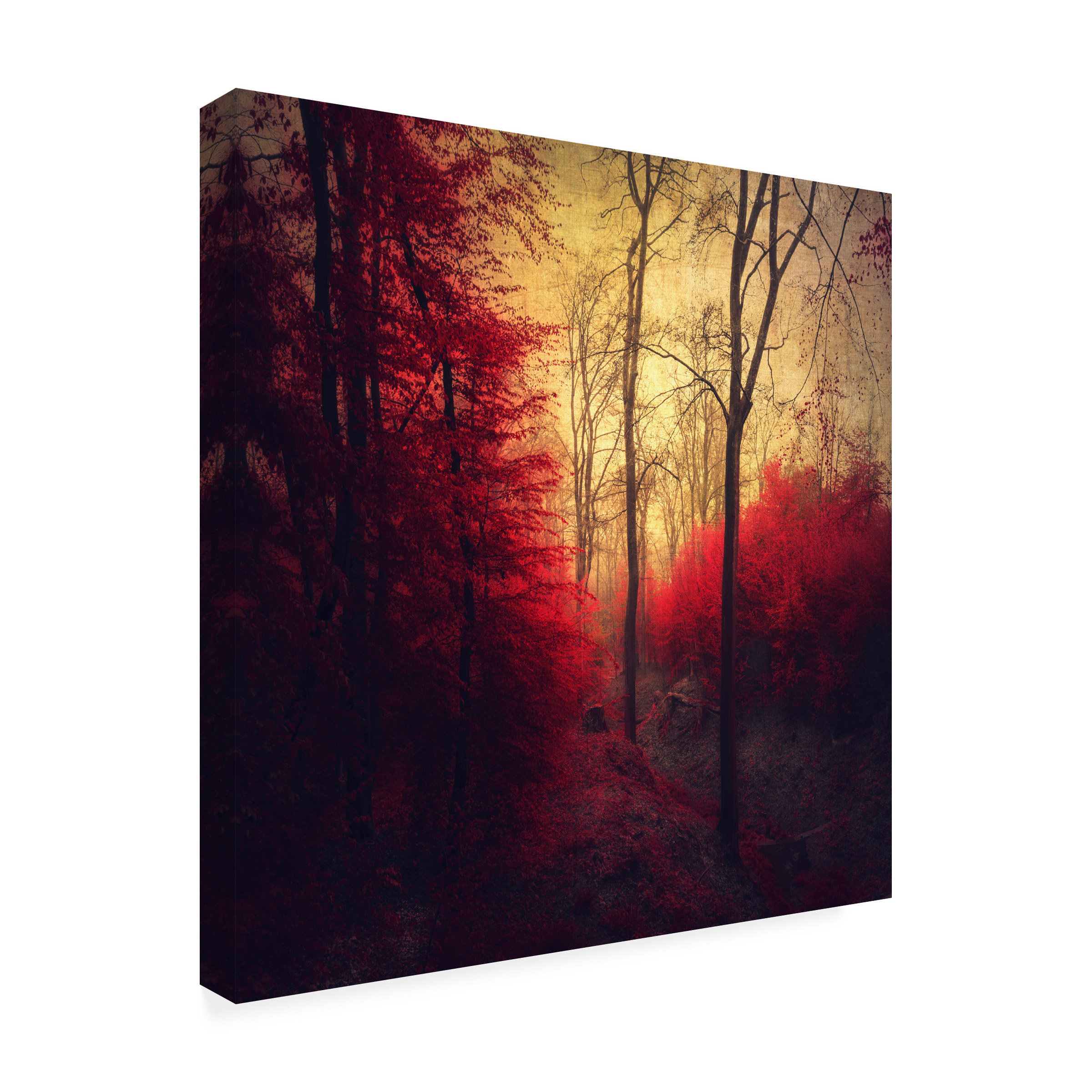 Millwood Pines Dirk Wüstenhagen Ruby Red Forest Canvas Art - Wayfair Canada