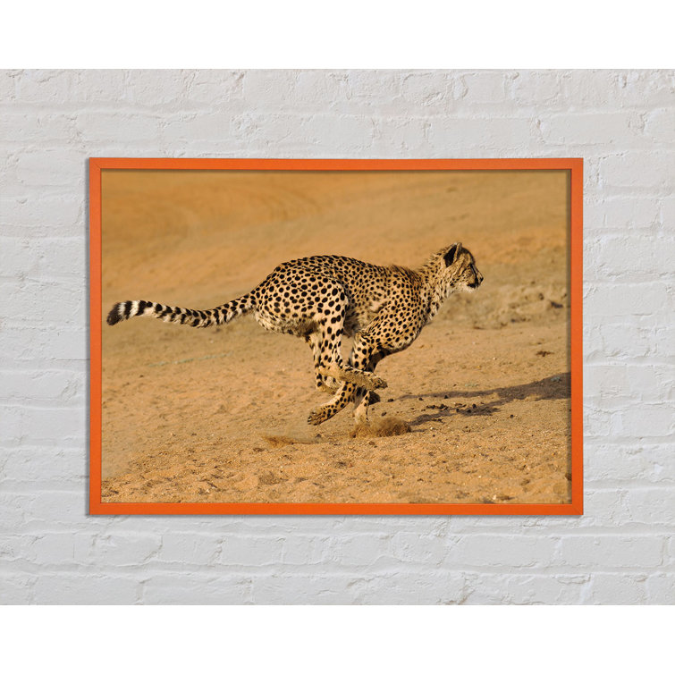 Brayden Studio Annifer Cheetah Chase - Single Picture Frame Art Prints ...