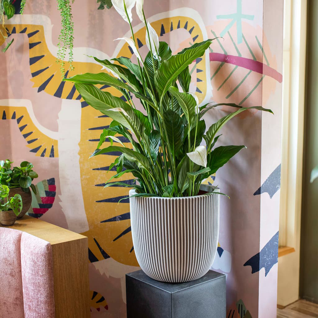 vidaXL Capi Planter Groove 43X41 Cm Ivory | Wayfair.co.uk