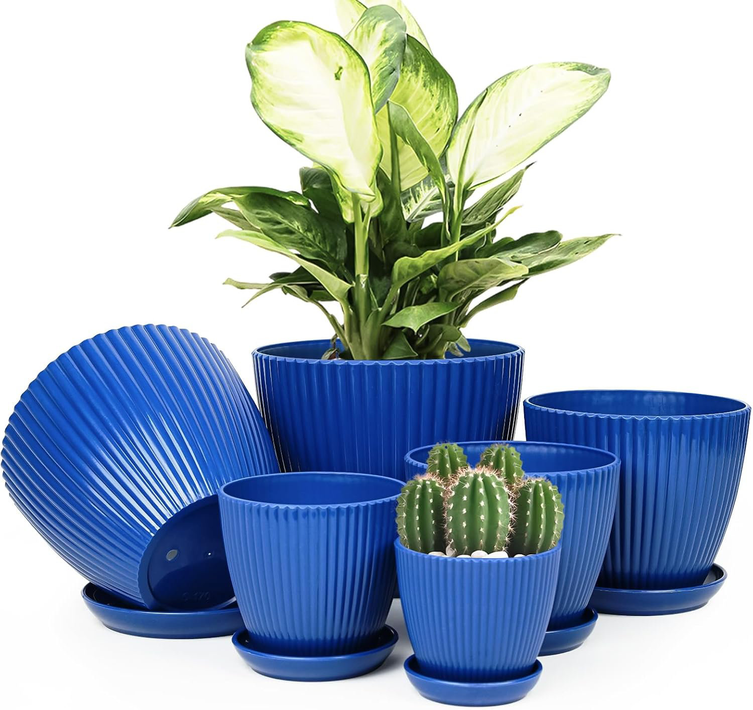 Ebern Designs 6-pack Indoor Plant Pots With Saucers | Wayfair