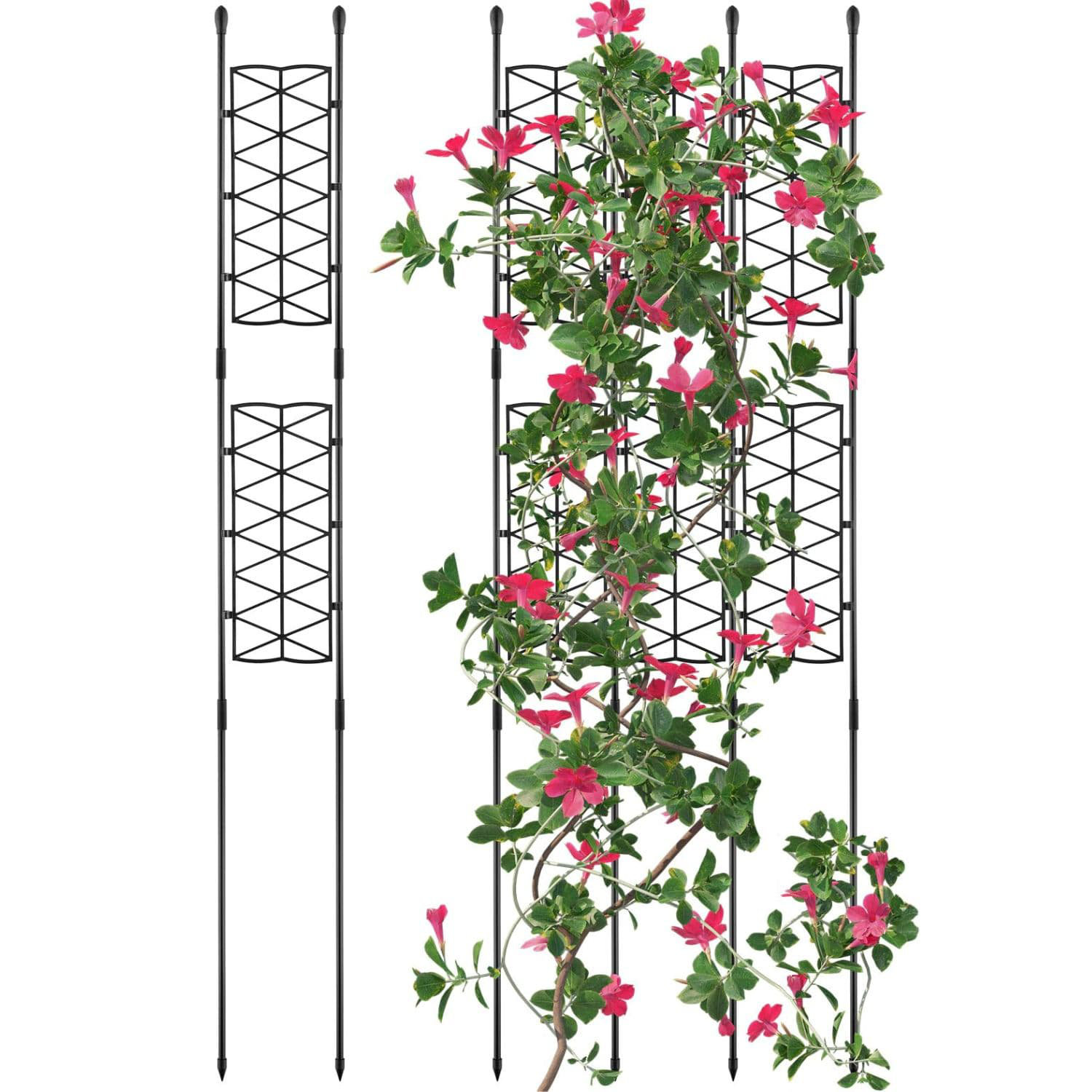 FOSURA 6-Pack outdoor climbing plant trellises. - Wayfair Canada