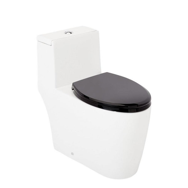 Signature Hardware Sitka 1.28 GPF One Piece Elongated Toilet | Wayfair