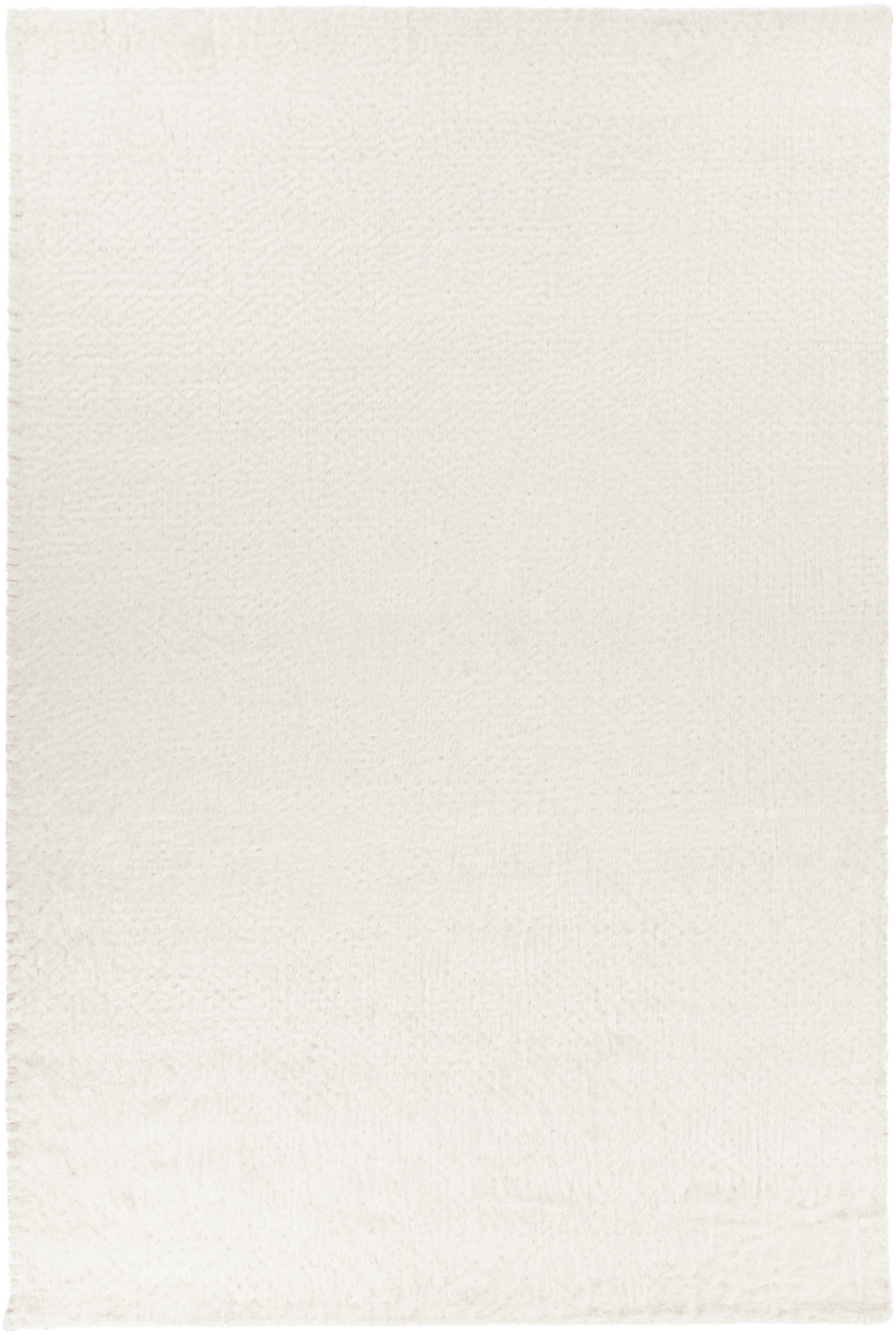 Foundry Select Alldredge Wool Solid Color Rug | Wayfair
