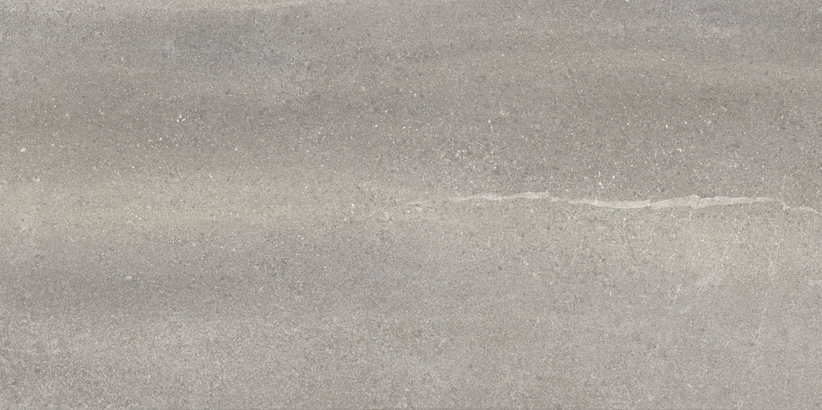 Parvatile Core 10" x 20" Porcelain Field Tile in Gray | Wayfair