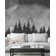 Harriet Bee Costello Forest Trees Night Scene 4-Piece Panel Peel Wall ...