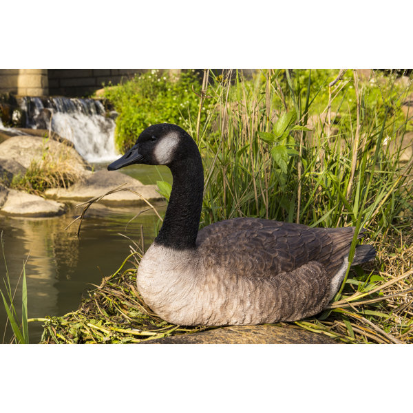 Hi-Line Gift Ltd. Sitting Canadian Goose Garden Statue & Reviews ...