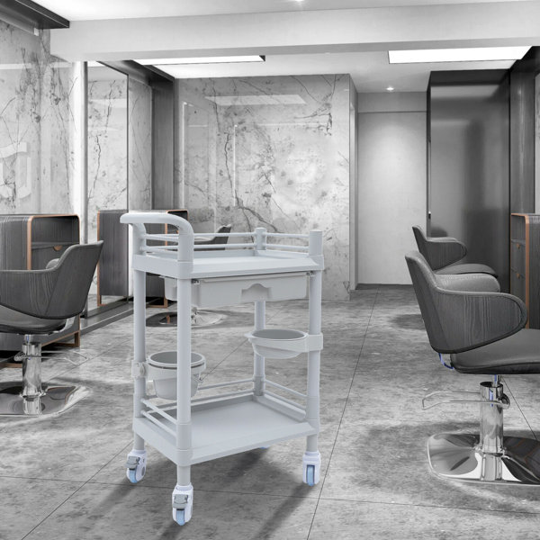 Rebrilliant Chariot-bar roulant roulant à 2 niveaux avec roulettes ...