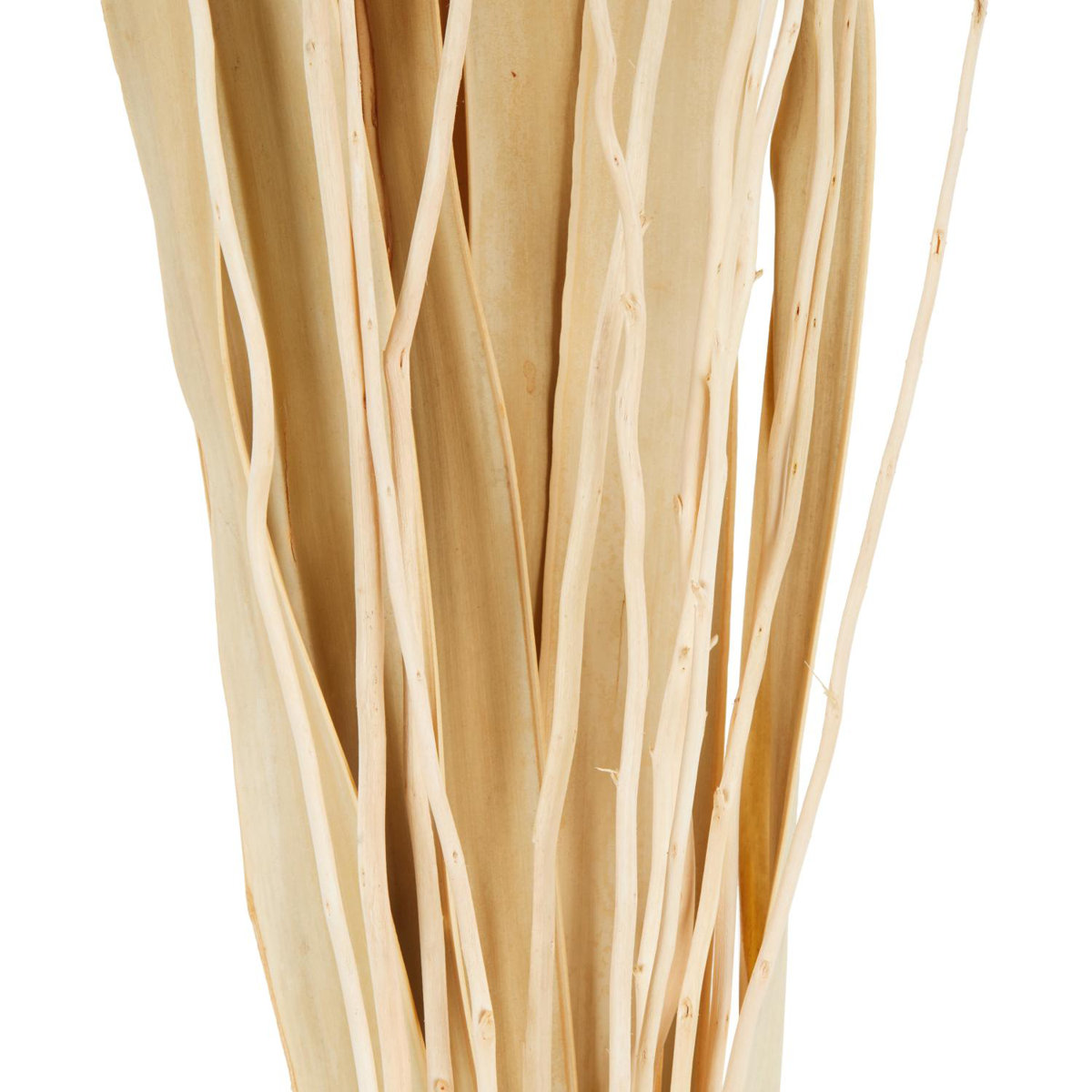 Primrue Eloise Cole And Grey Dried Plant Tall Natural Foliage With ...