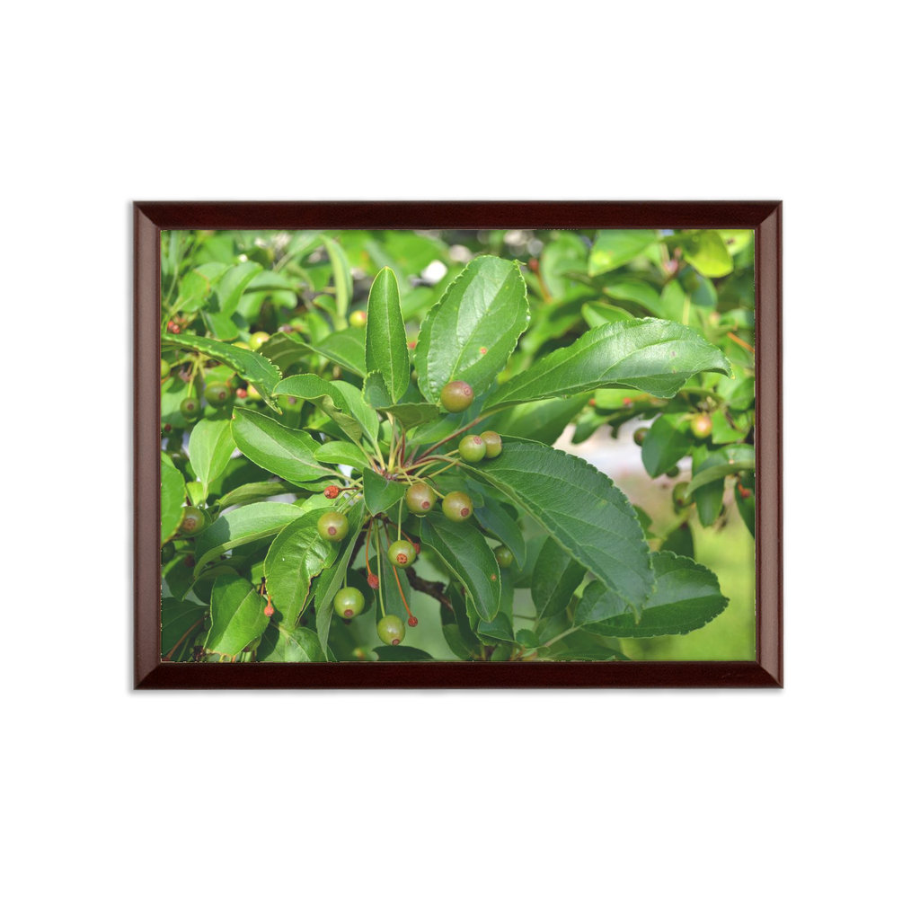 Ebern Designs Pexels Sublimation Wall Decor | Wayfair