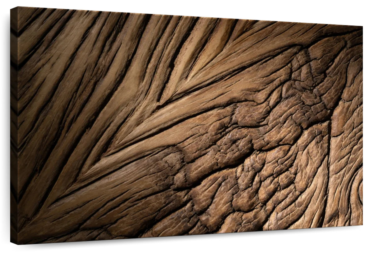 Elephant Stock Wrinkled Tree Bark | Wayfair