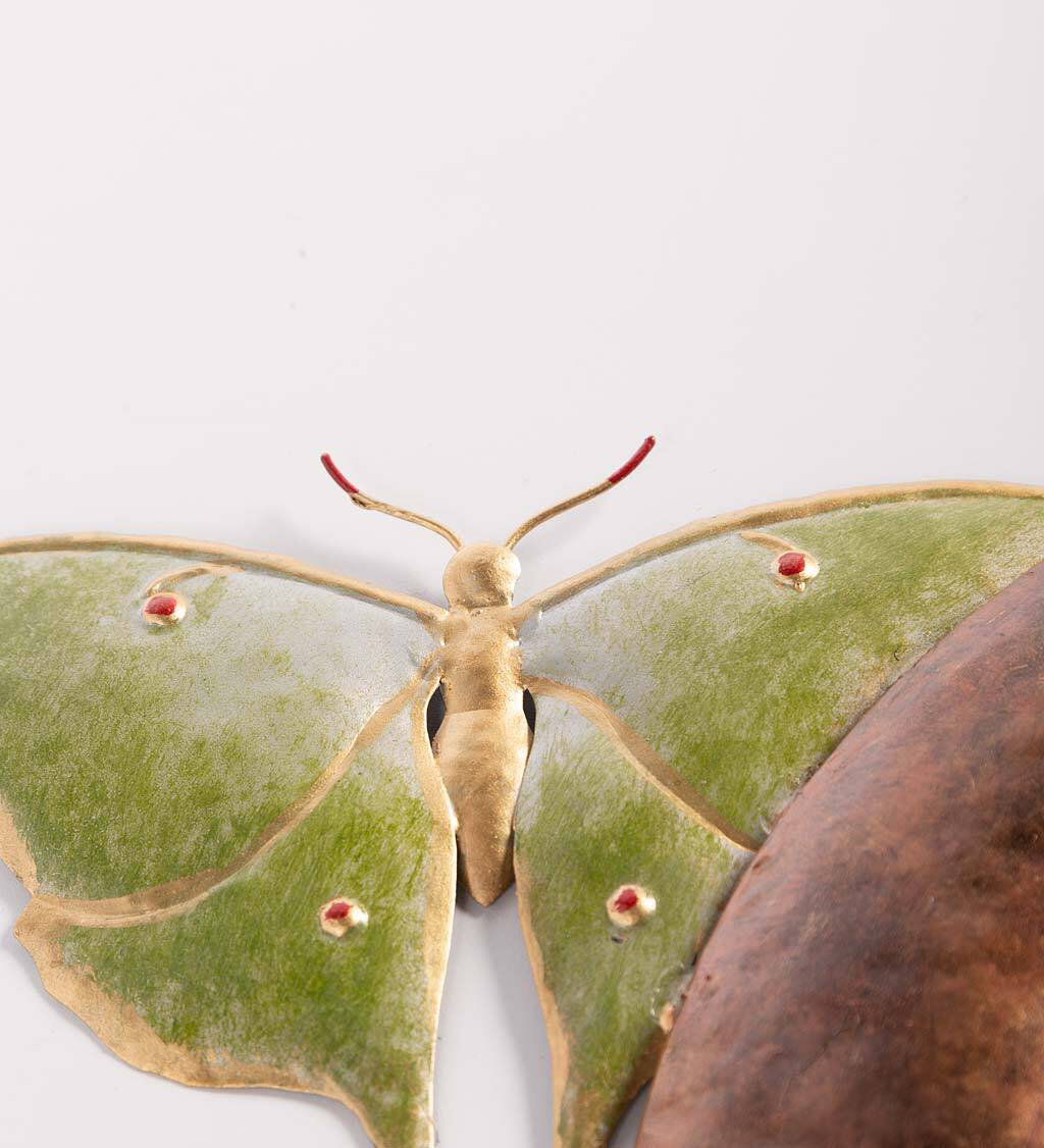 August Grove® Handcrafted Metal Luna Moths and Crescent Moon Wall Décor ...