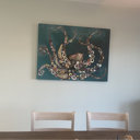 Breakwater Bay " Octopus In The Deep Teal Sea " by Eli Halpin & Reviews ...