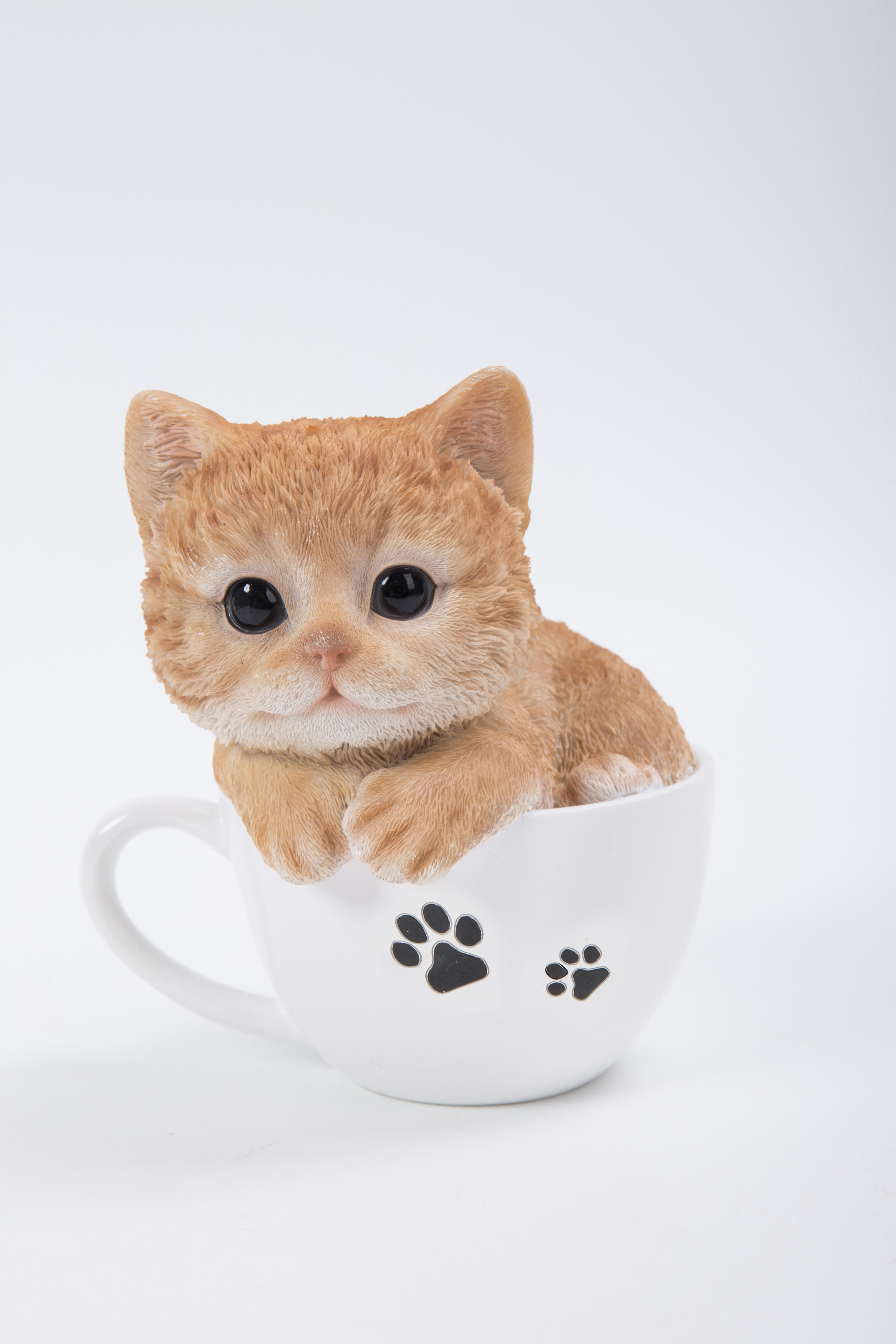 Hi-Line Gift Ltd. Teacup Kitten Tabby Statue & Reviews | Wayfair