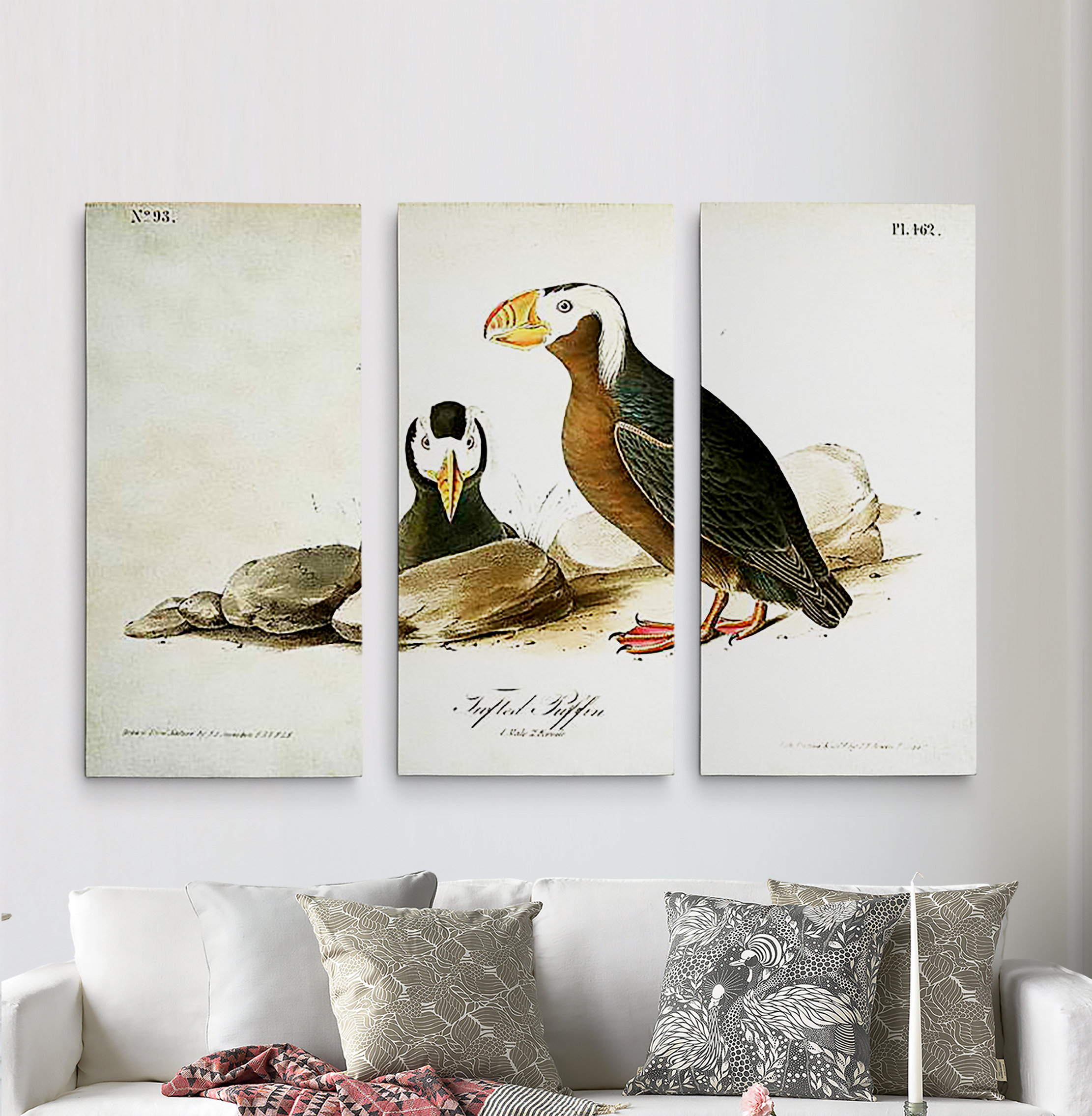 Charlton Home® Aviary Plate VIIII - 3 Piece Graphic Art Print Set on ...