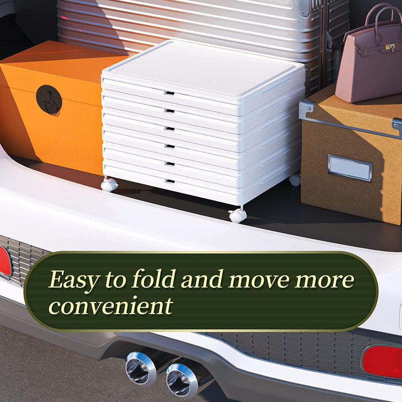 Latitude Run® Plastic Box & Reviews | Wayfair