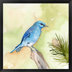 Winston Porter " Mountain Bluebird " by Sean Parnell | Wayfair