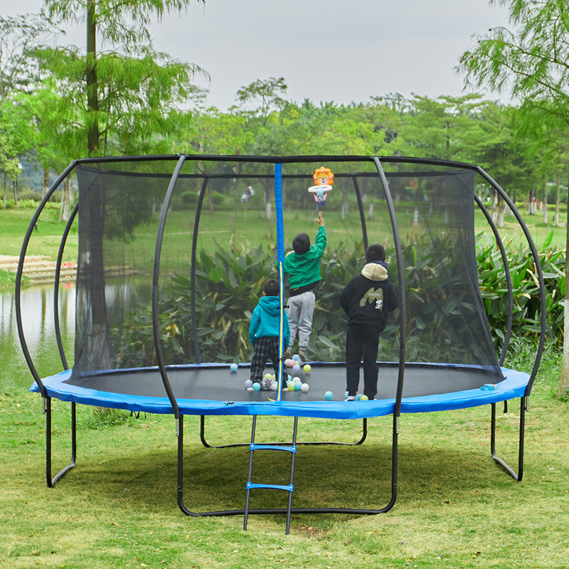 VEVOR Round Backyard Trampoline with Safety Enclosure & Reviews | Wayfair