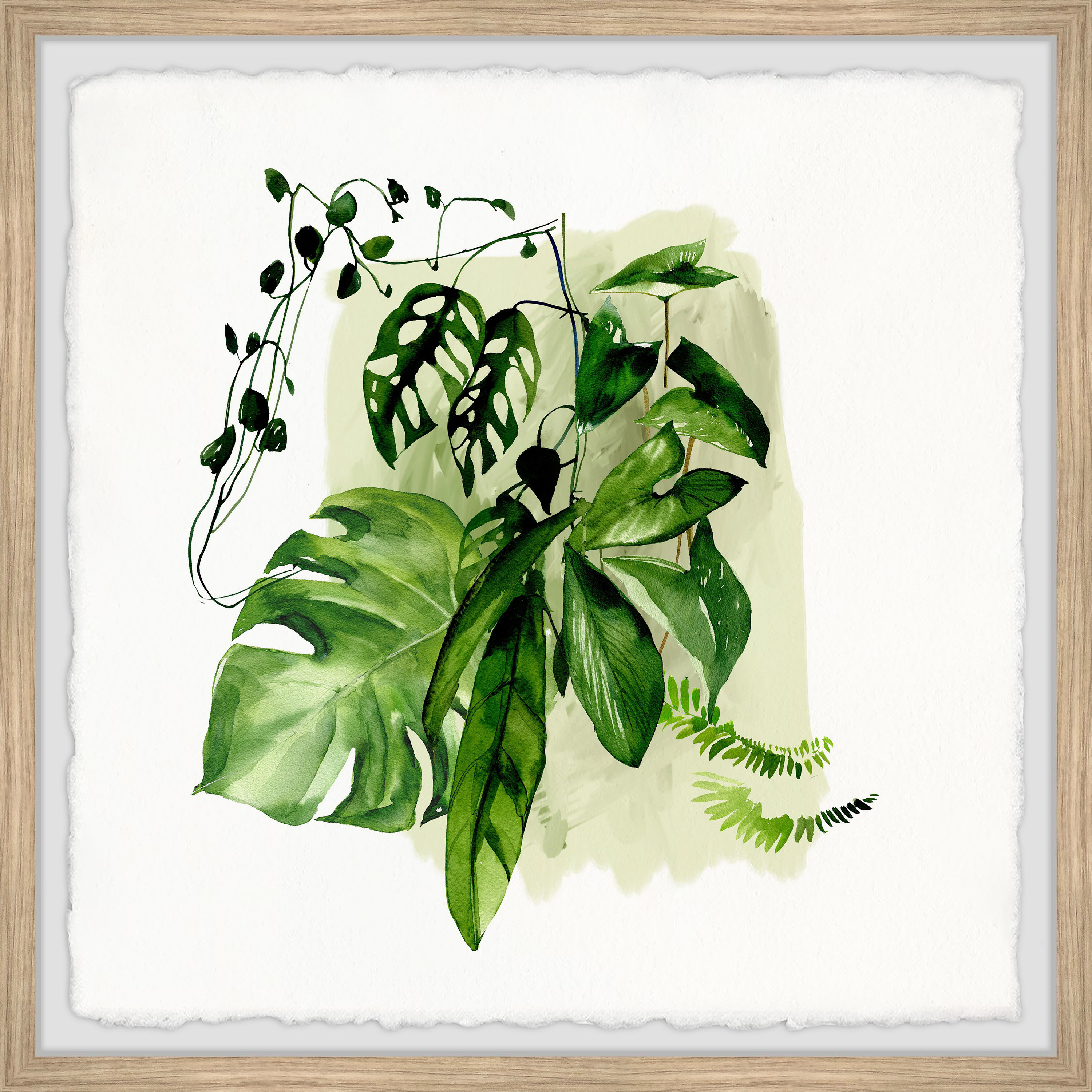 Bayou Breeze ''Leafy Greens'' Framed Print - Wayfair Canada