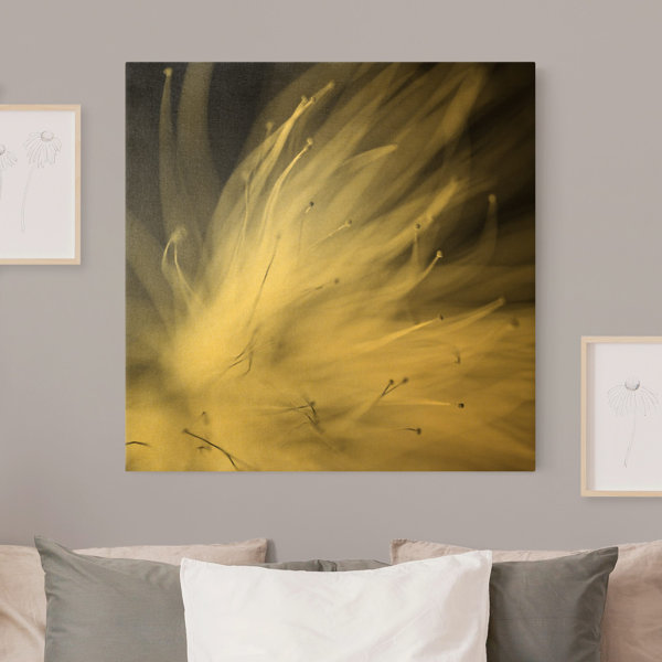 Ivy Bronx Pollen Art Print on Canvas | Wayfair.co.uk