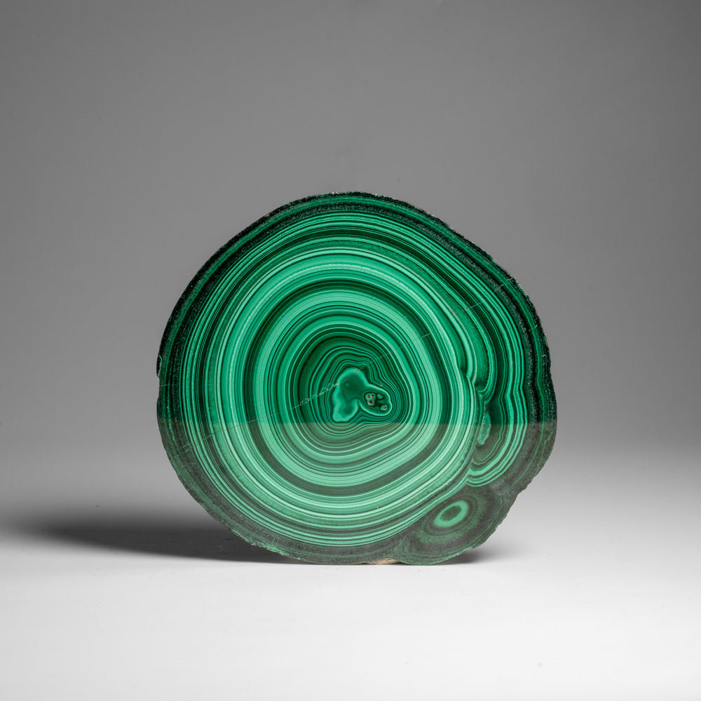 Astro Gallery of Gems Genuine Polished Malachite Stalactite Slice (152 Grams) | Wayfair
