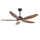 5 Brown Blades Ceiling Fan With Light And Remote, Quiet Reversible Dc ...