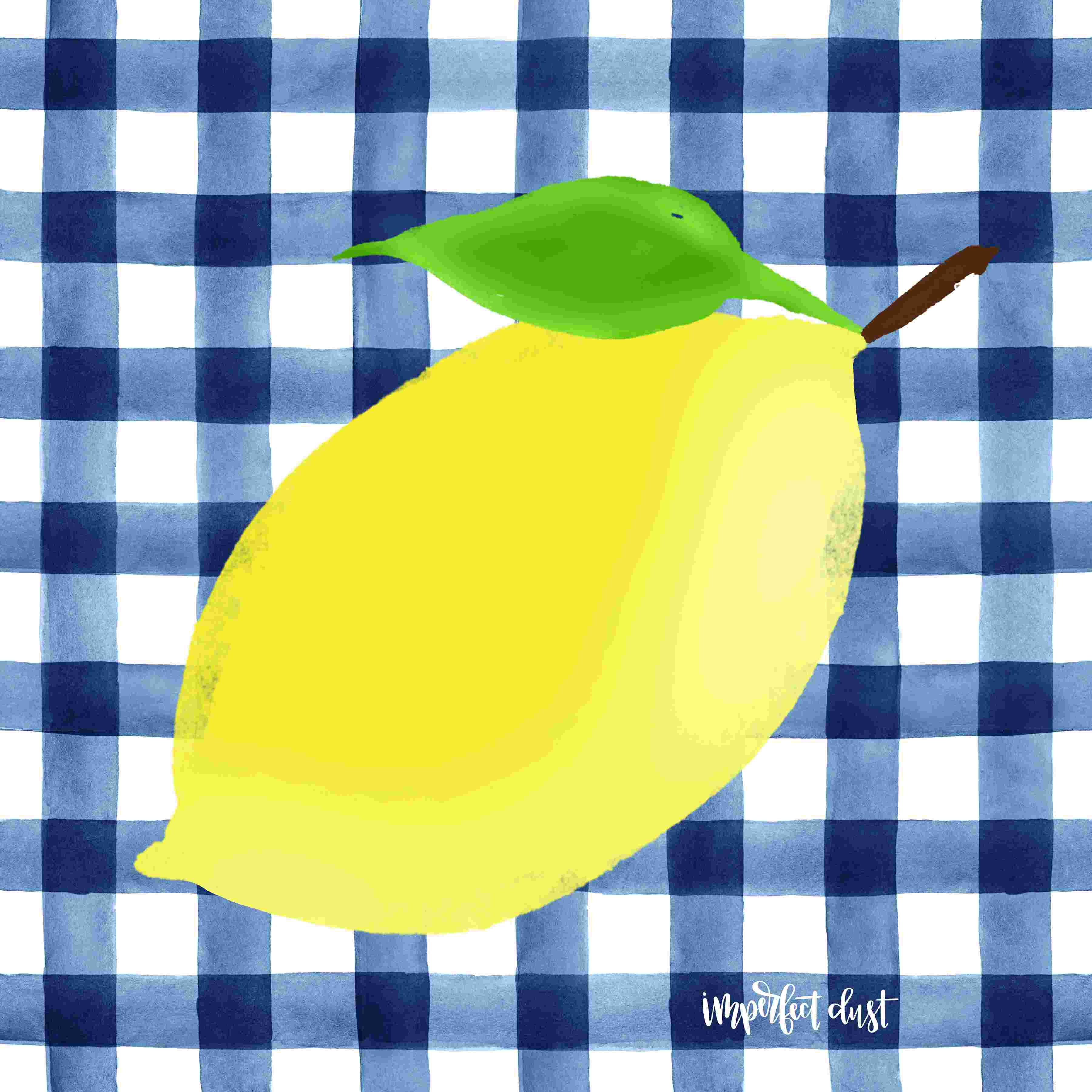 Gracie Oaks Lemon - Wrapped Canvas Painting | Wayfair