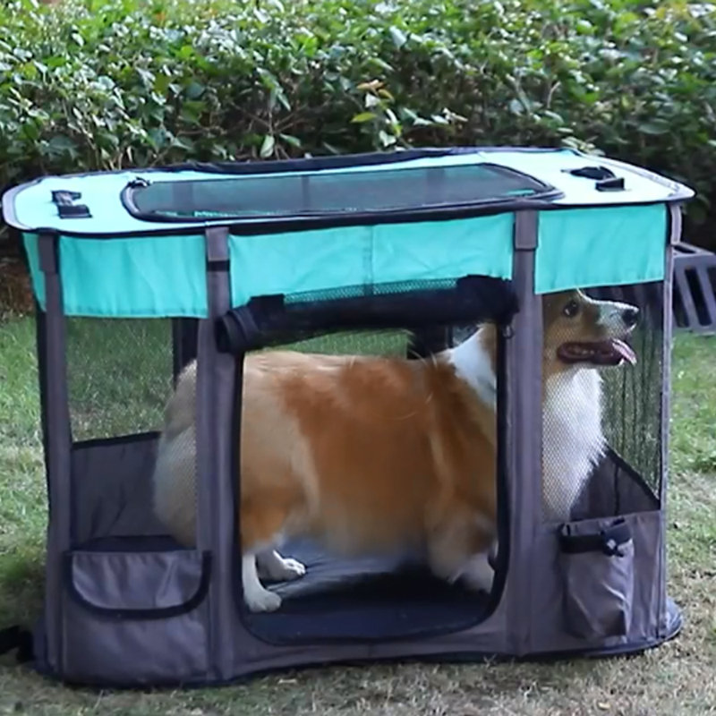 Tucker Murphy Pet™ Dalaney Playpen with Portable | Wayfair