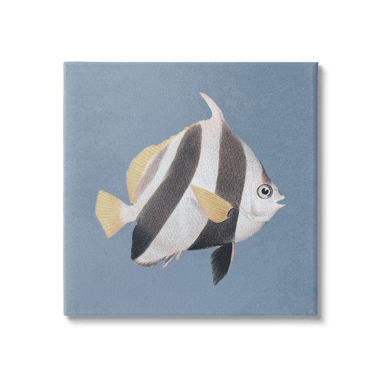 Stupell Industries Striped Fish Marine Life Portrait Canvas Wall Art By ...