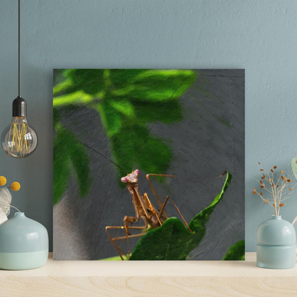 Gracie Oaks A Brown Mantis On Green Leaf During Daytime On Canvas ...