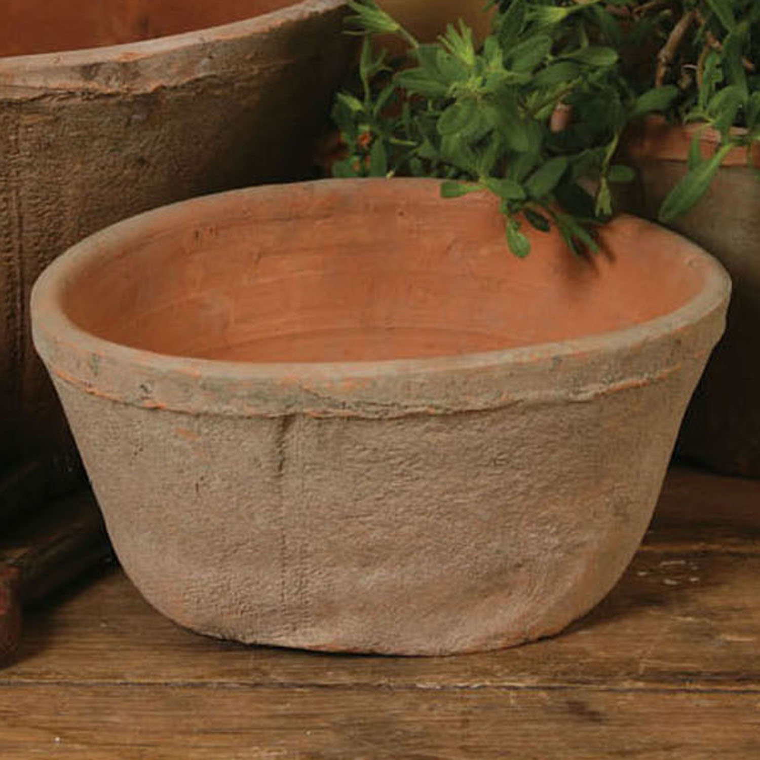 August Grove® Almada Terracotta Pot Planter & Reviews | Wayfair