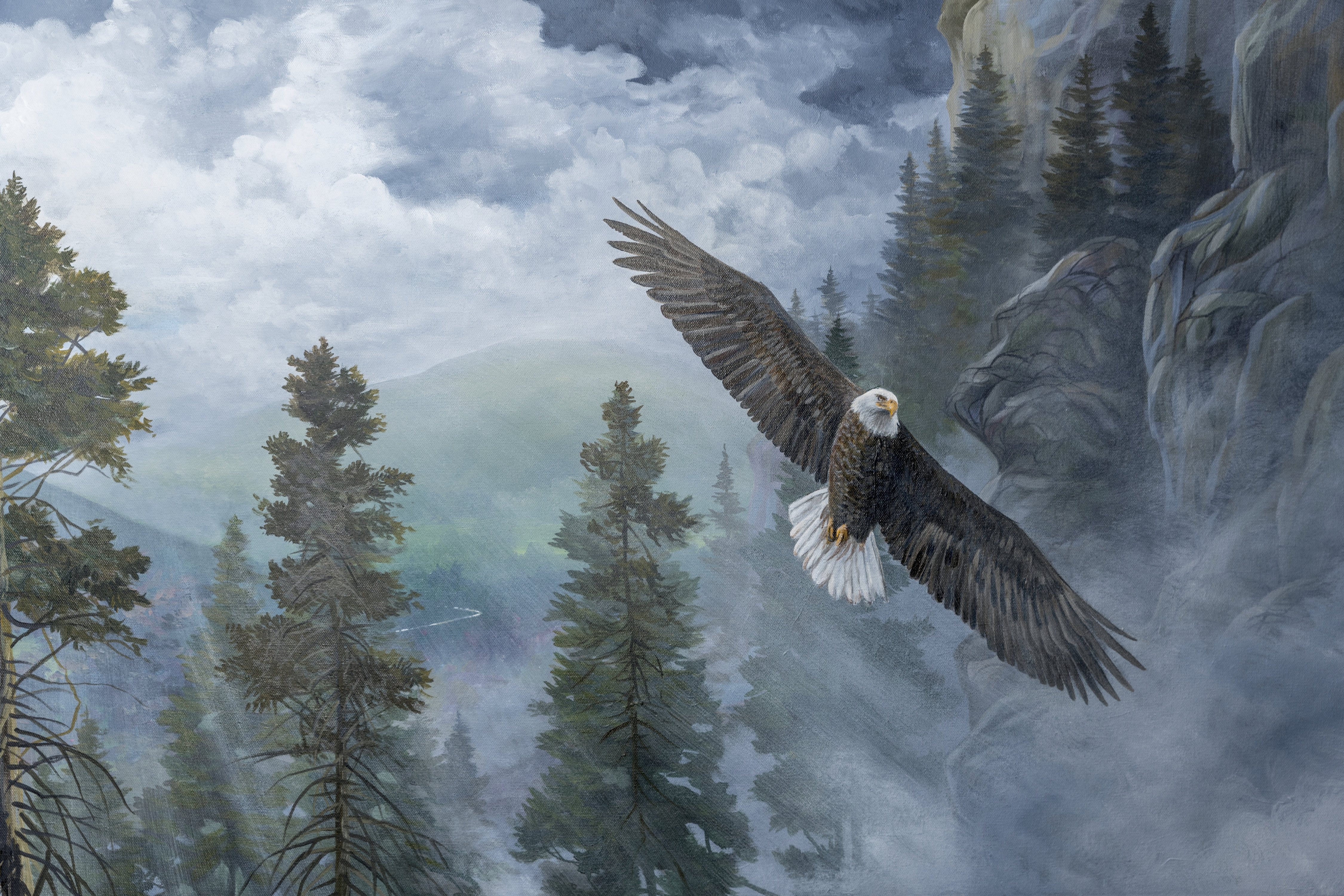 Alpen Home Soaring High II by B. Lynnsy - Wrapped Canvas Graphic Art ...