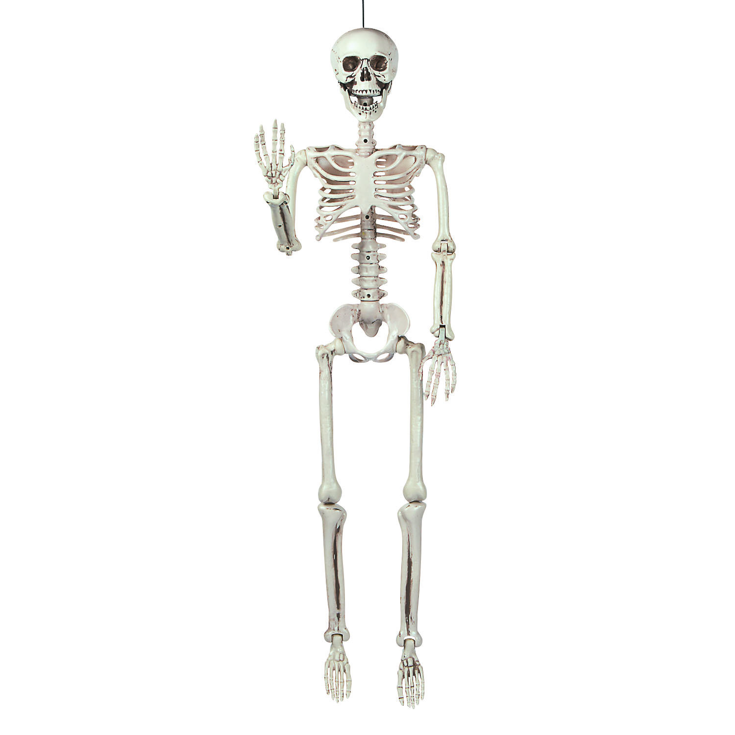 The Holiday Aisle® Posable Skeleton Halloween Decoration | Wayfair
