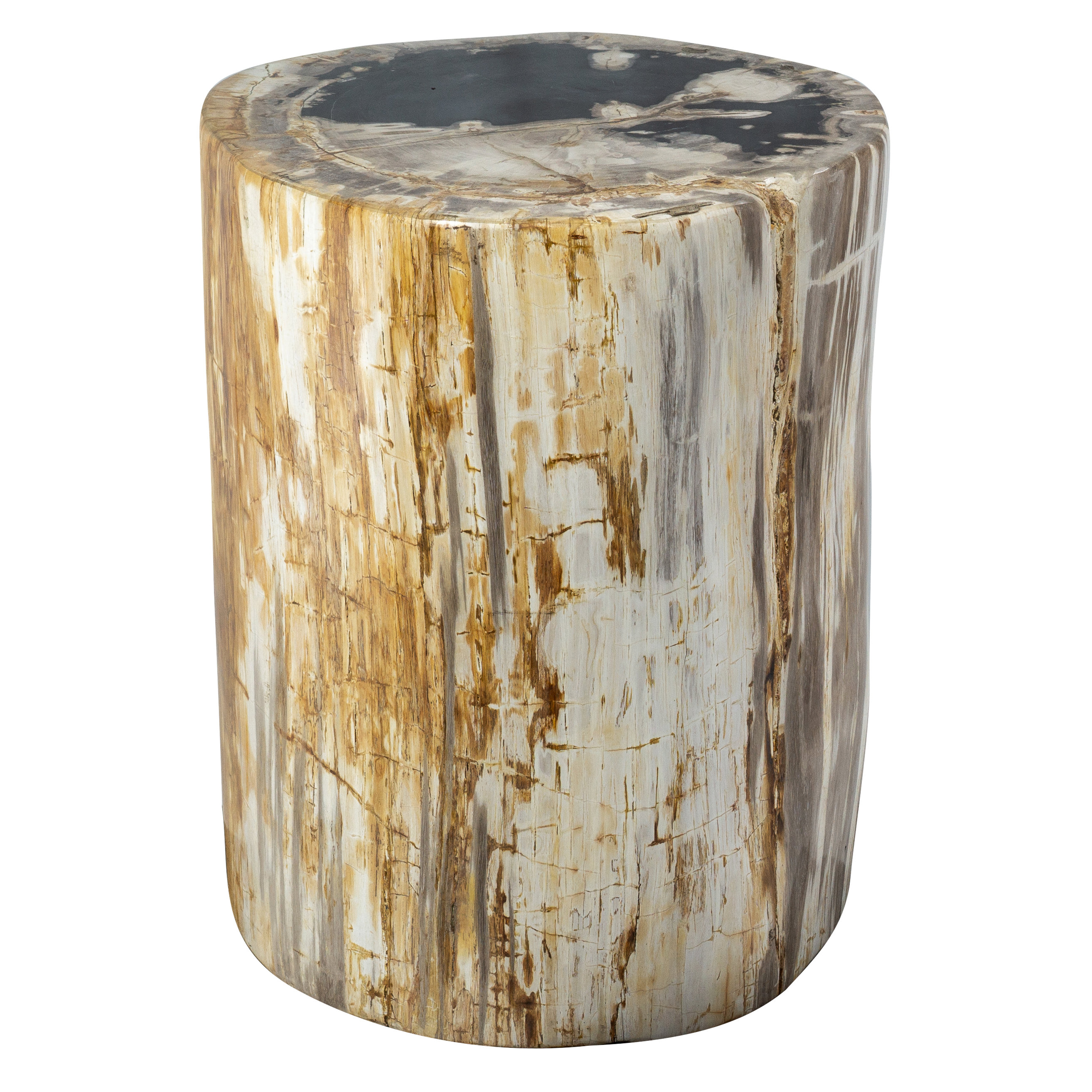 Daribali Design Fossil Relics End Table | Wayfair