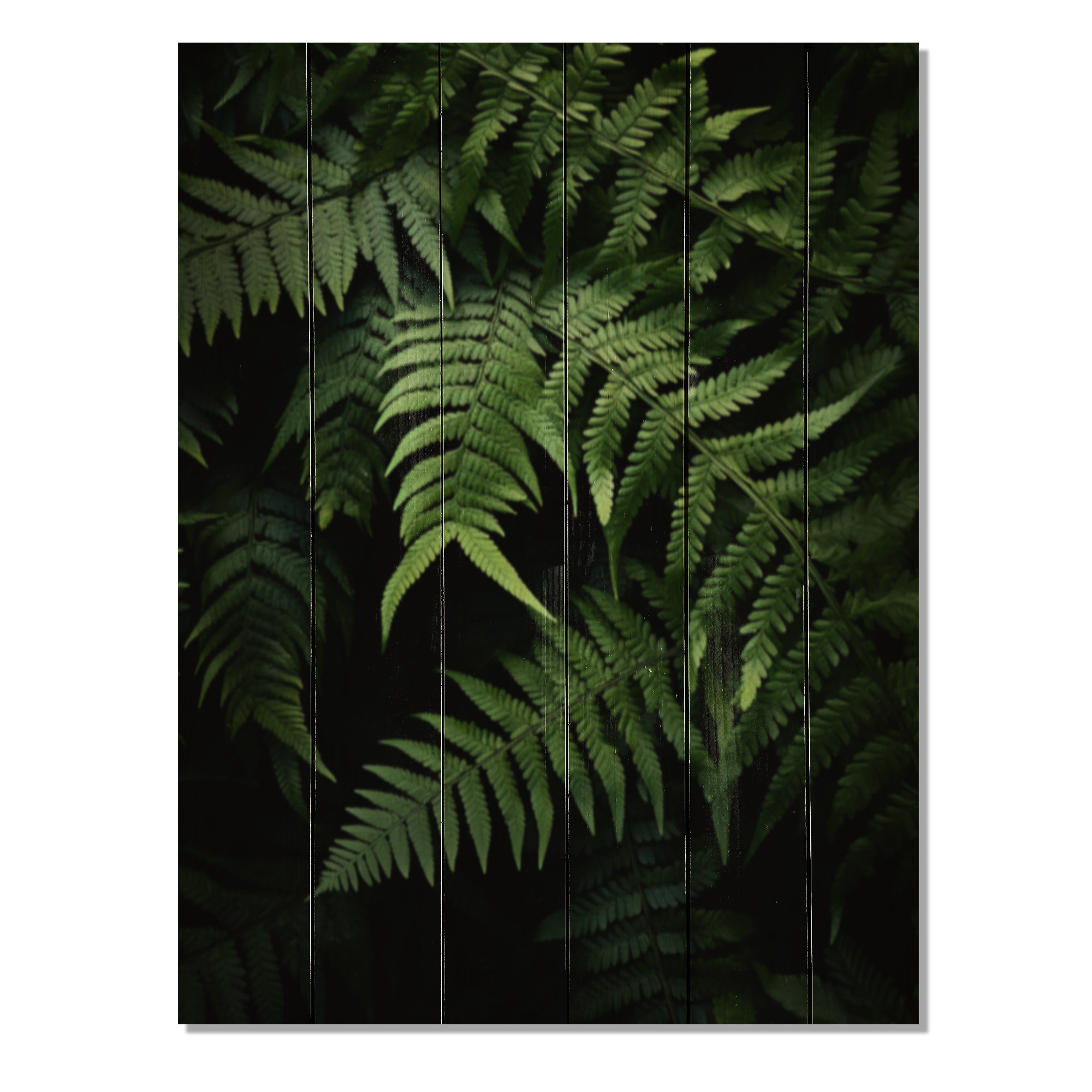 Bay Isle Home™ Ferns Plant Mystical Shadows I On Wood Print - Wayfair ...
