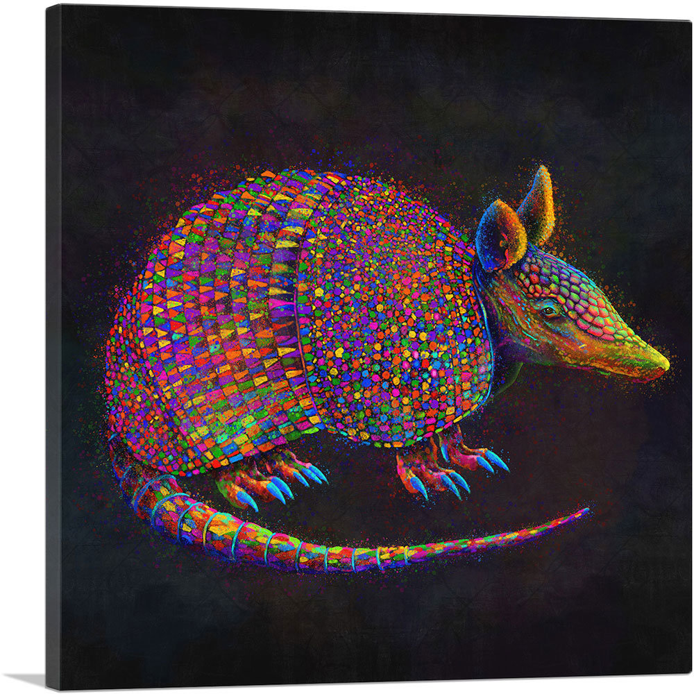 ARTCANVAS Armadillo - Wrapped Canvas Graphic Art Print | Wayfair