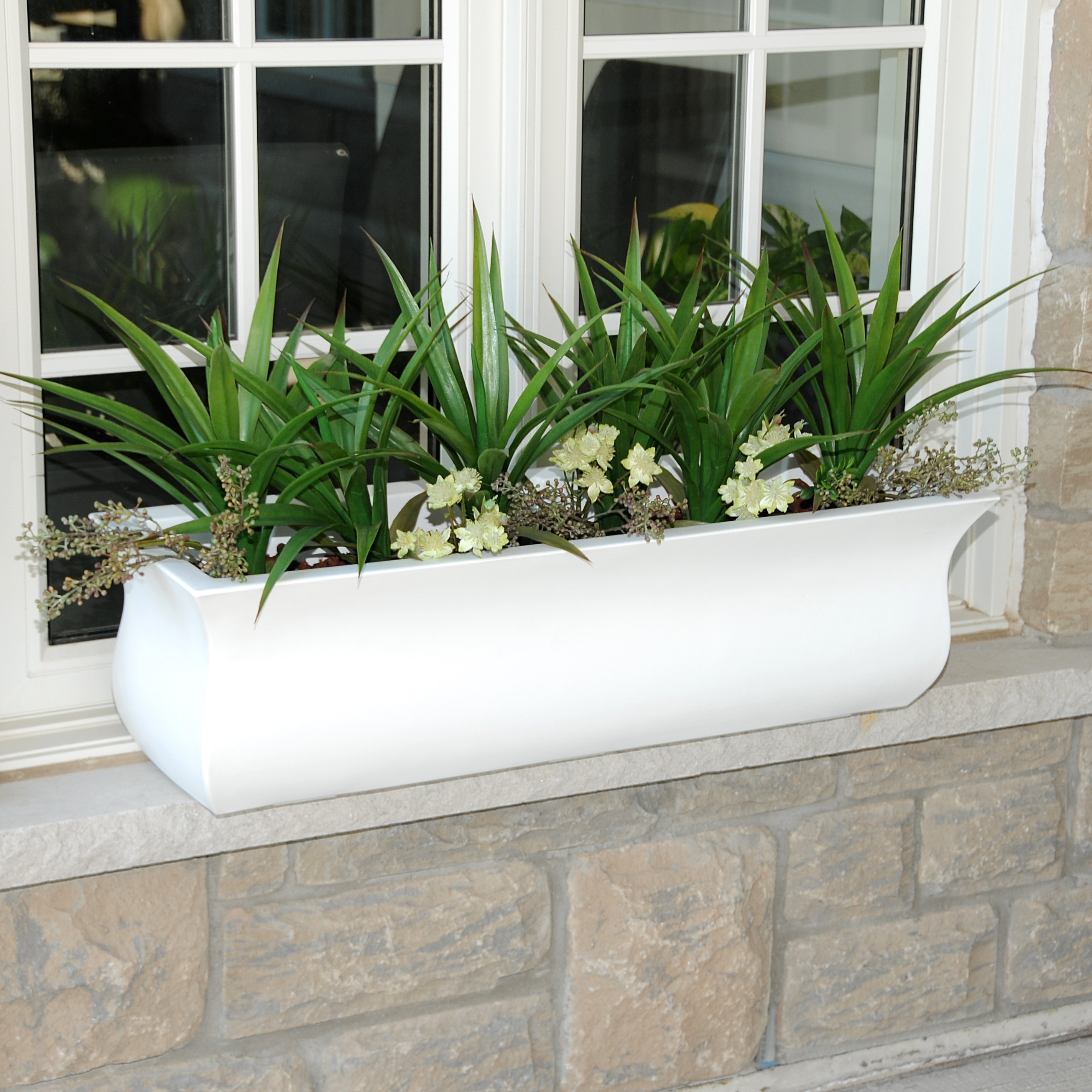 Winston Porter Clywd Self Watering Plastic Window Box Planter & Reviews ...