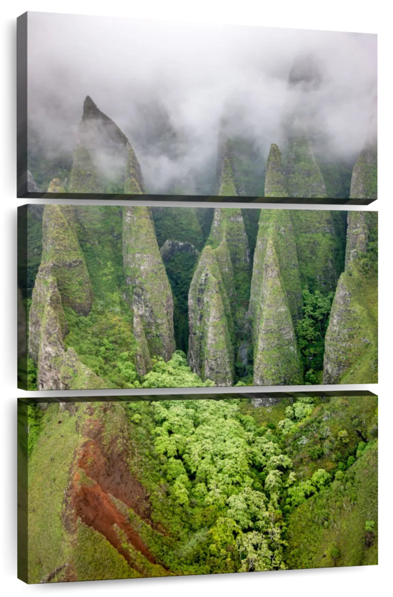 Millwood Pines Alvord Na Pali Kauai Rainforest - Wayfair Canada
