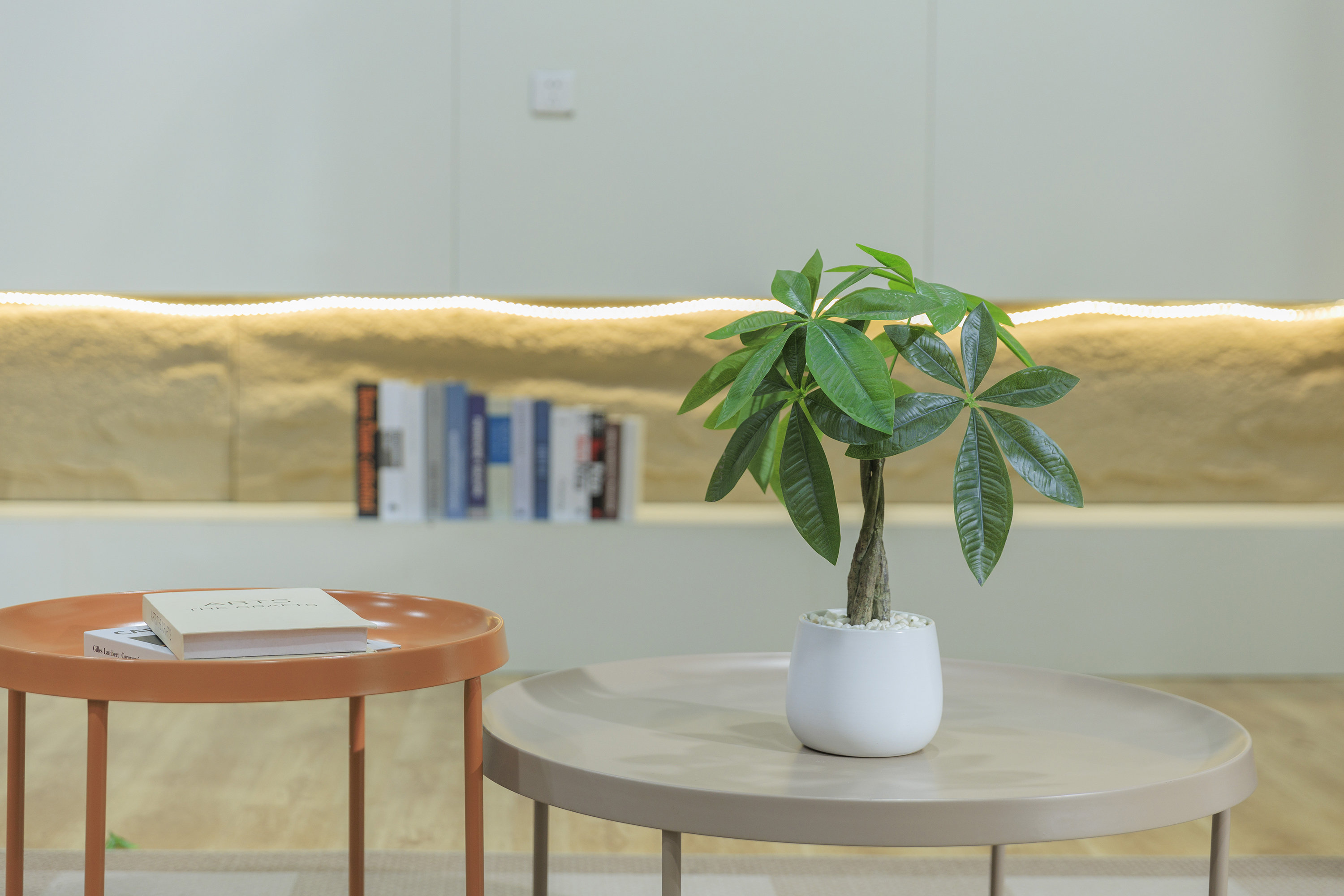 Primrue 2-pack Of 18” Faux Money Trees With Real-touch Leaves In Modern ...