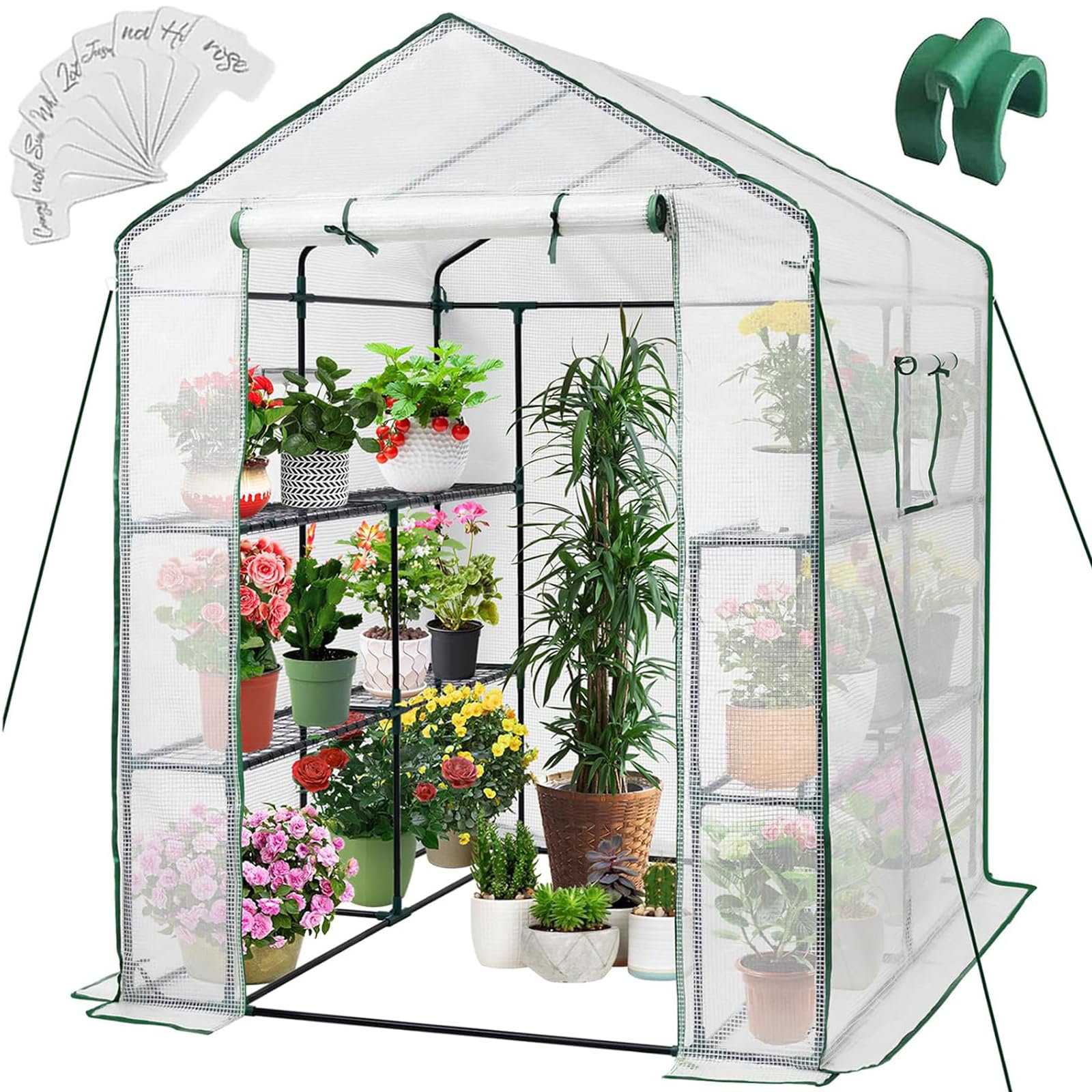 BOJUNTAN 56 X 56 X 75'' Greenhouses For Outdoors, Portable Greenhouse ...