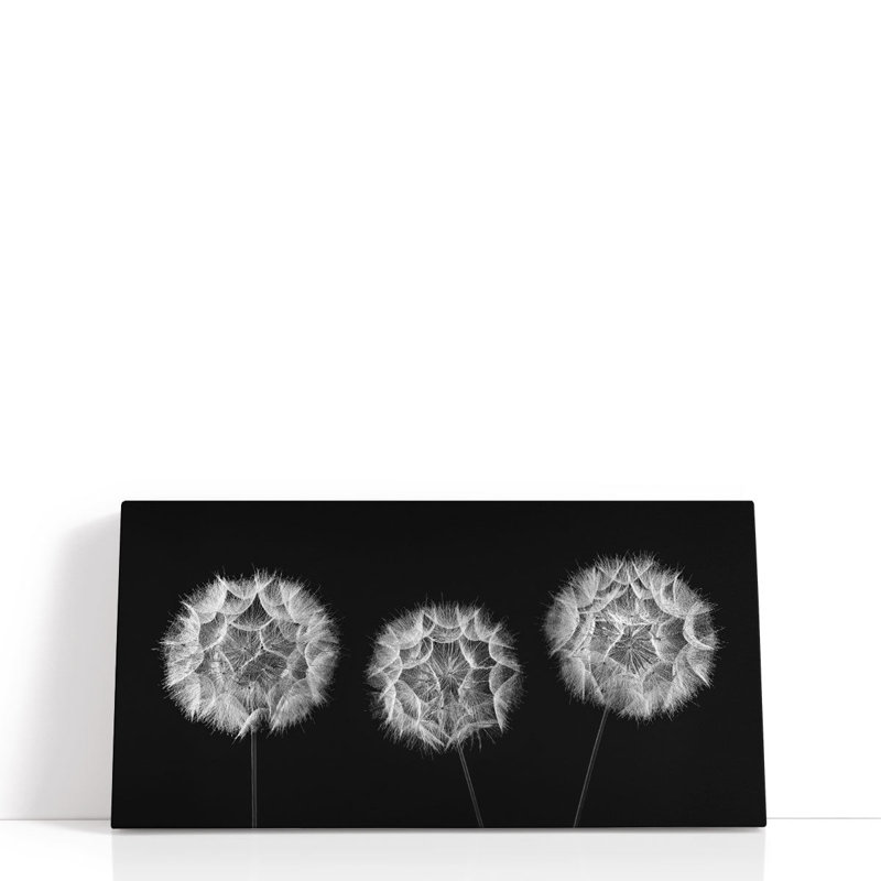 dandelion clock artwork