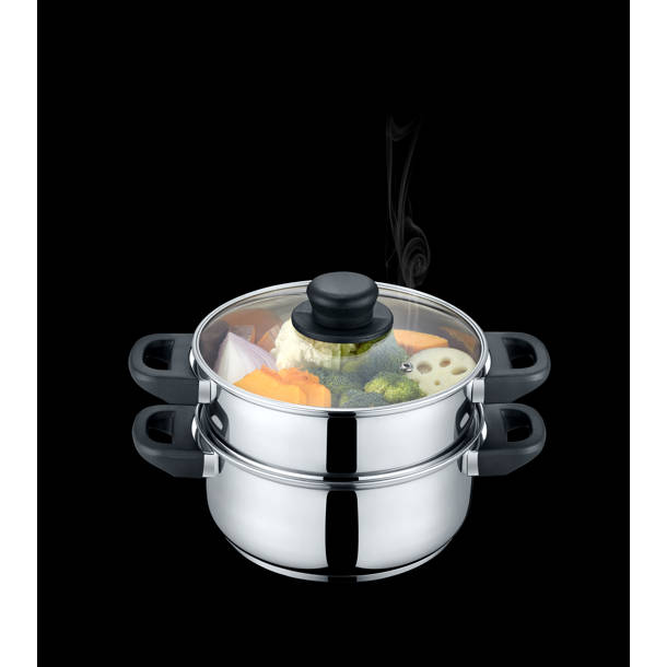 Oster 3 qt. Stainless Steel Steamer Pot with Lid & Reviews | Wayfair