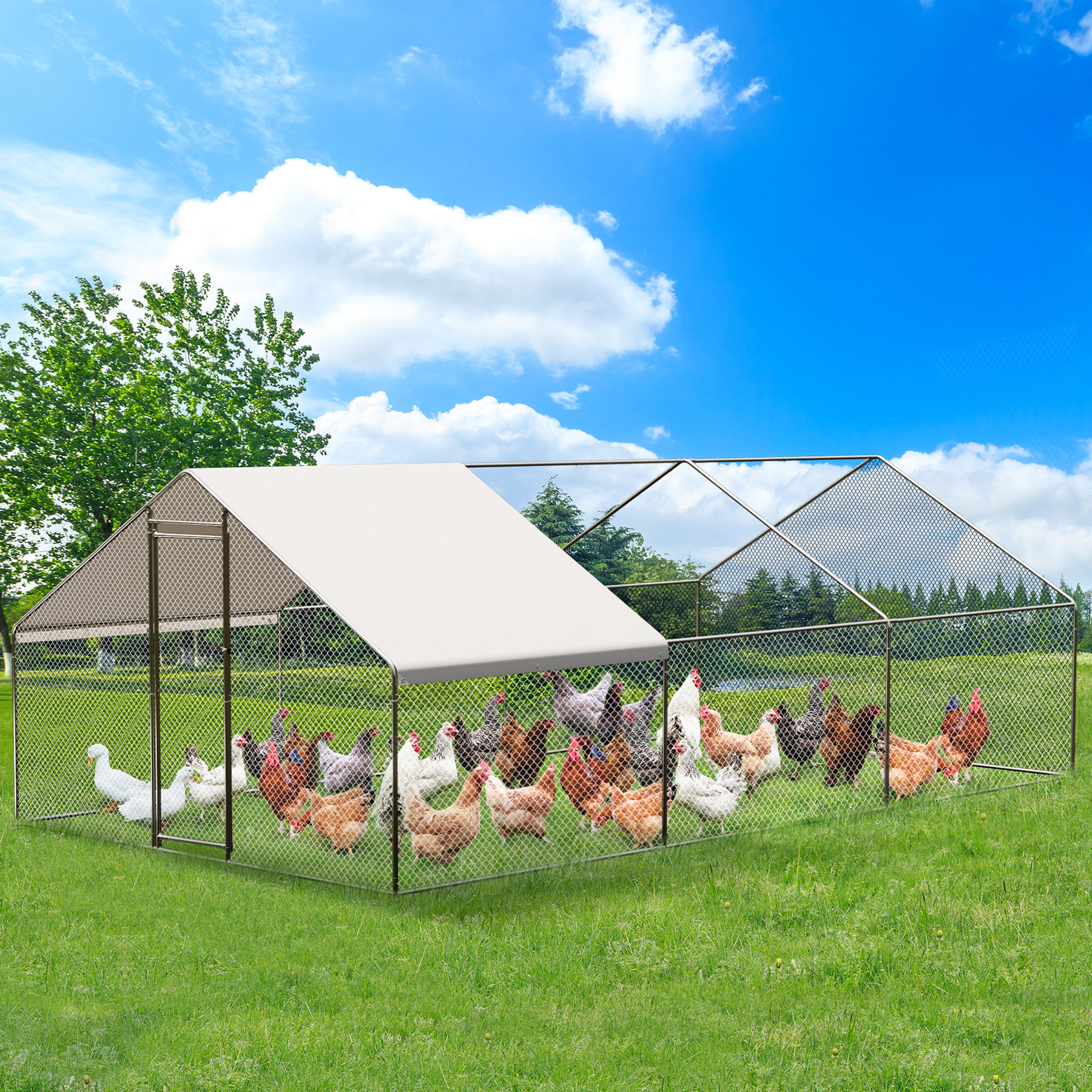 Tucker Murphy Pet™ Elliani Chicken Coop with Chicken Run - Wayfair Canada