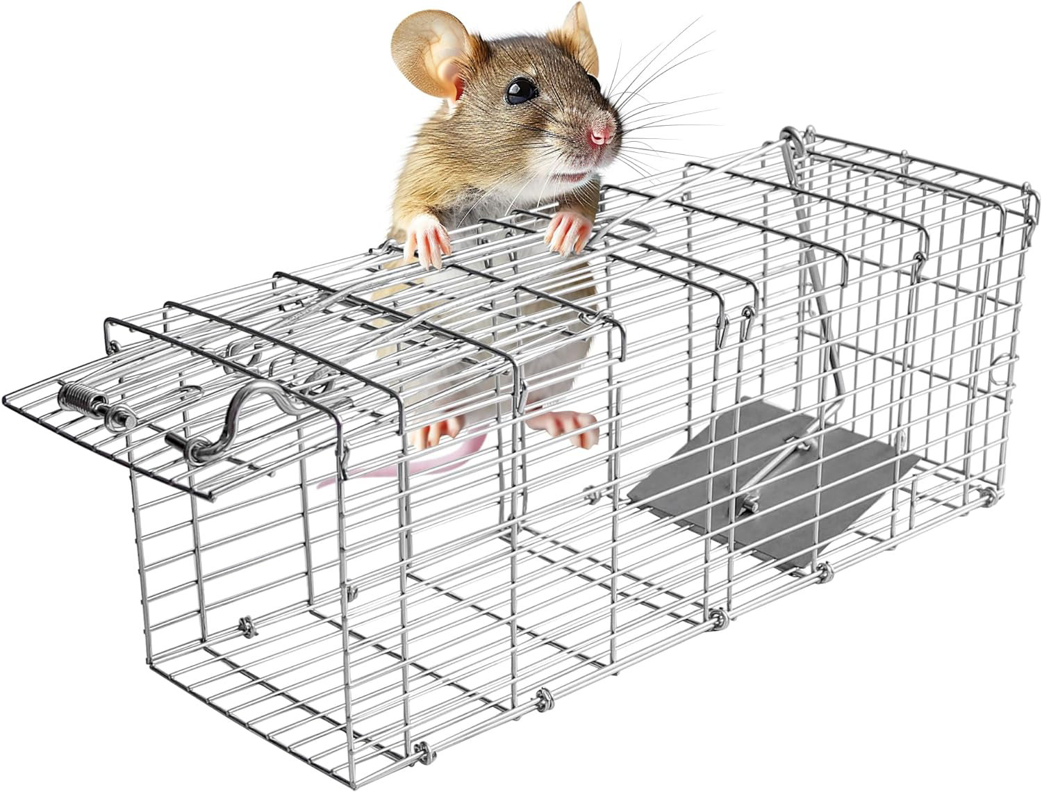 Tucker Murphy Pet™ Ferdinandus Weather Resistant Mouse Cage | Wayfair