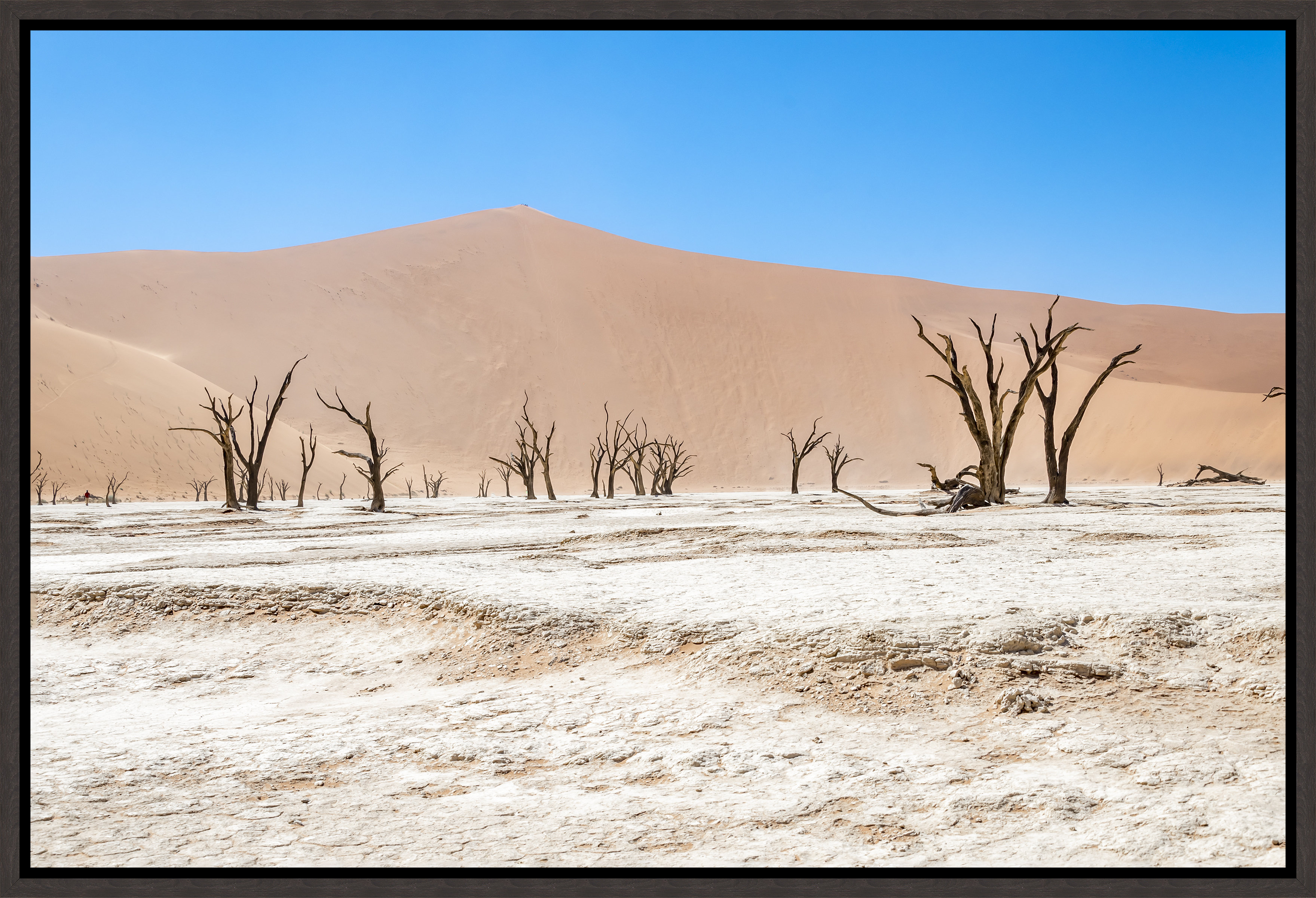 Chelsea Art Studio Namibian Skeleton Trees VII by Richard Silver ...