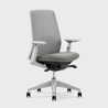 Haworth Soji Mesh Ergonomic Task Chair & Reviews | AllModern