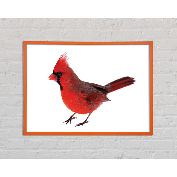 Rosalind Wheeler Scarlet Tanager Bird - Single Picture Frame Art Prints ...