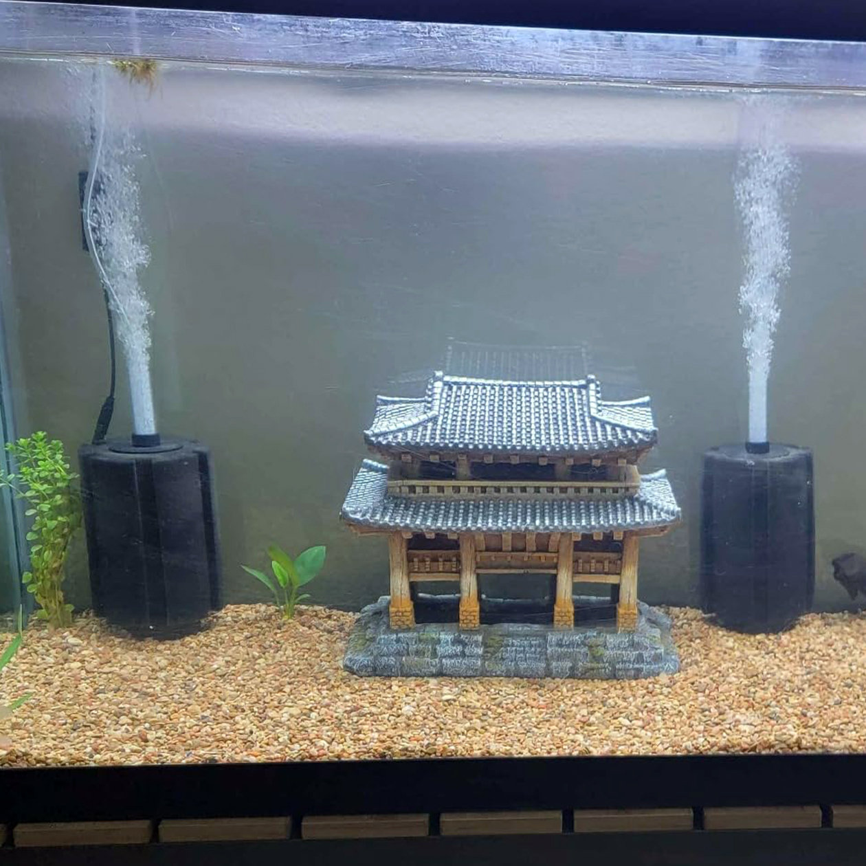 Tucker Murphy Pet™ 3 Pcs Aquarium Large Sponge Filter,100 -125 Gallon ...